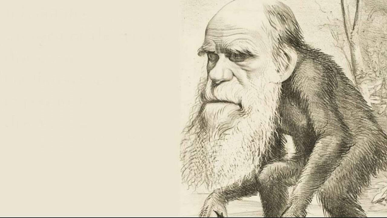 Darwin, Adam Smith, la masonería y la construcción del capitalismo ...